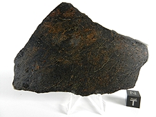 NATURE'S VAULT - NWA 5400 Ungrouped Achondrite Meteorite
